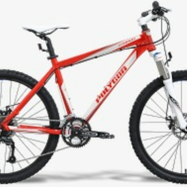 Polygon Xtrada 4.0 mtb, Sports Equipment, Bicycles & Parts, Bicycles on ...