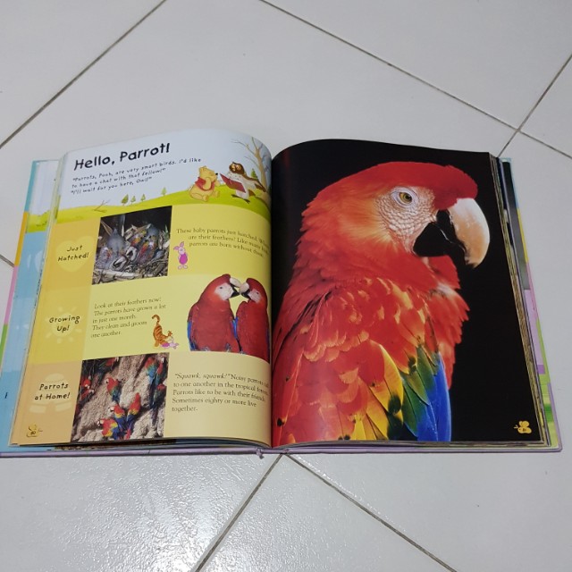 My First Animal Encyclopedia, Hobbies & Toys, Books & Magazines ...