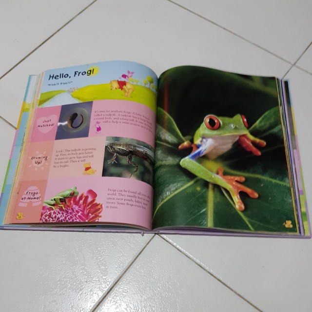 My First Animal Encyclopedia, Hobbies & Toys, Books & Magazines ...