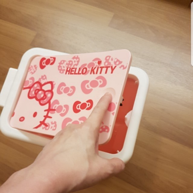 Hello Kitty Bin, Furniture & Home Living, Cleaning & Homecare Supplies ...