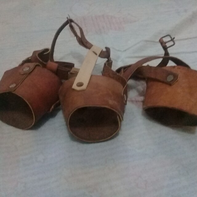 Busal for Dogs, Pet Supplies, Homes & Other Pet Accessories on Carousell