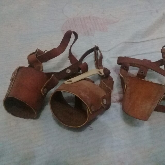 Busal for Dogs, Pet Supplies, Homes & Other Pet Accessories on Carousell