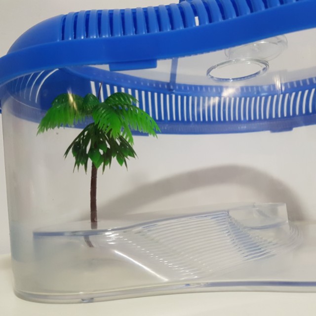 Terrapin cage, Pet Supplies, Homes & Other Pet Accessories on Carousell