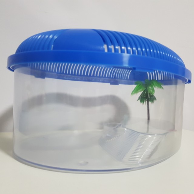 Terrapin cage, Pet Supplies, Homes & Other Pet Accessories on Carousell