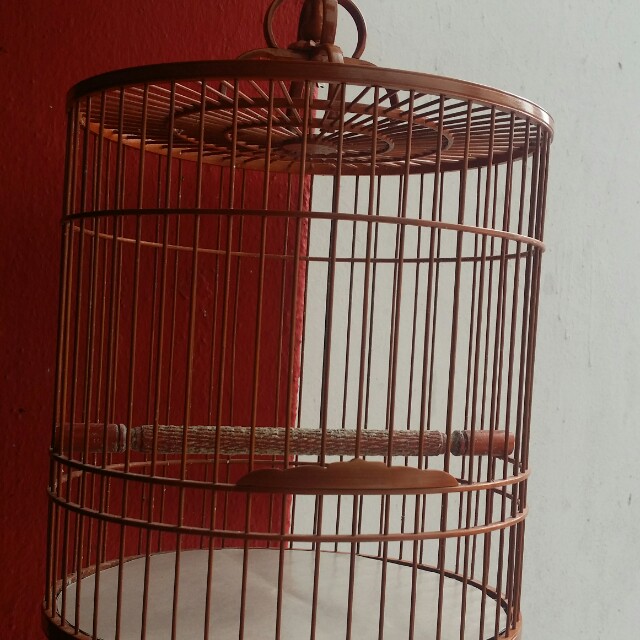 Round bird cage, Pet Supplies, Homes & Other Pet Accessories on Carousell