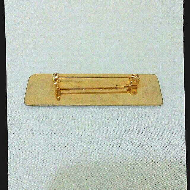 Singapore Airlines Flight Stewardess Name Tag (L) 6.5cm, Hobbies & Toys ...