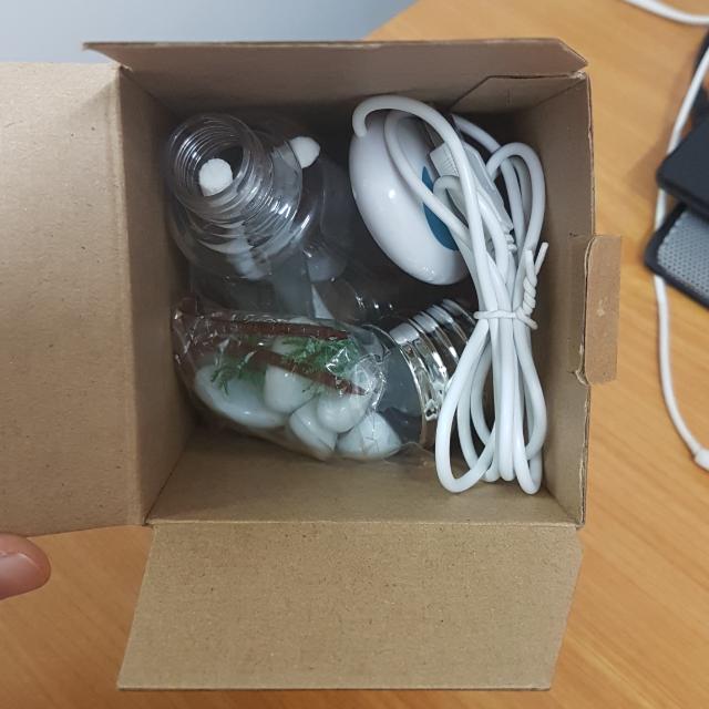 Bulb Humidifier, Furniture & Home Living, Home Decor, Other Home Decor ...