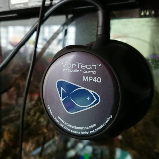 Ecotech Marine Vortech Mp40 qd, Pet Supplies, Homes & Other Pet ...