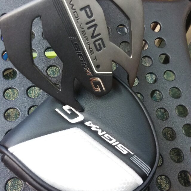 Ping wolverine putter, Sports Equipment, Sports & Games, Golf on Carousell