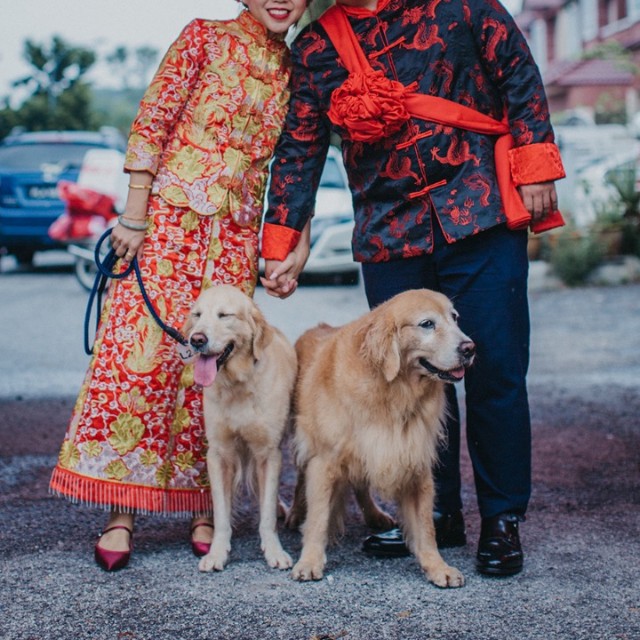 Chinese Traditional Kua, Women's Fashion, Dresses & Sets, Evening ...