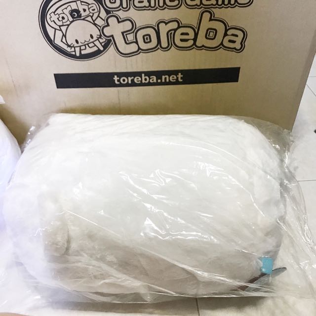 Marukuma pola marukumapola polar bear toy plush, Hobbies & Toys, Toys ...