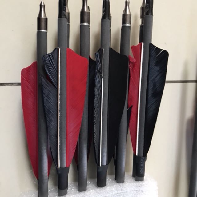 Anak panah (arrow) pure carbon, Sports Equipment, Sports & Games ...