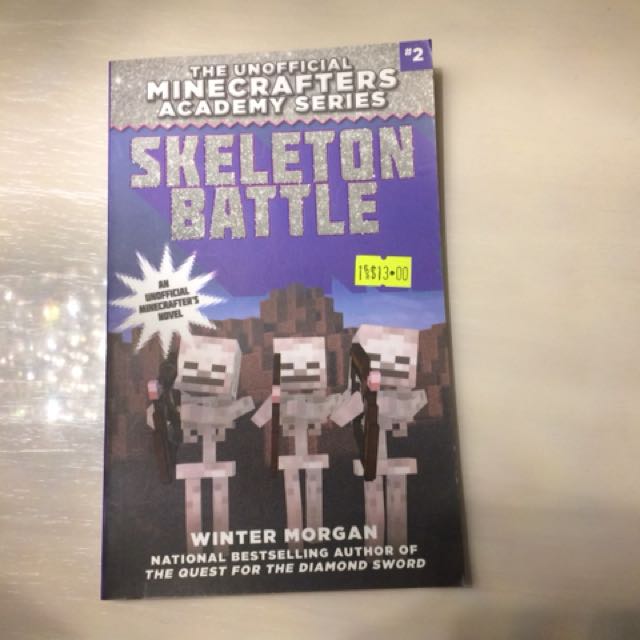 Minecrafters Academy Series:Skeleton Battle, Hobbies & Toys, Books ...