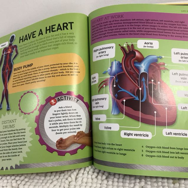 How Your Body Works Guide Book, Hobbies & Toys, Books & Magazines ...