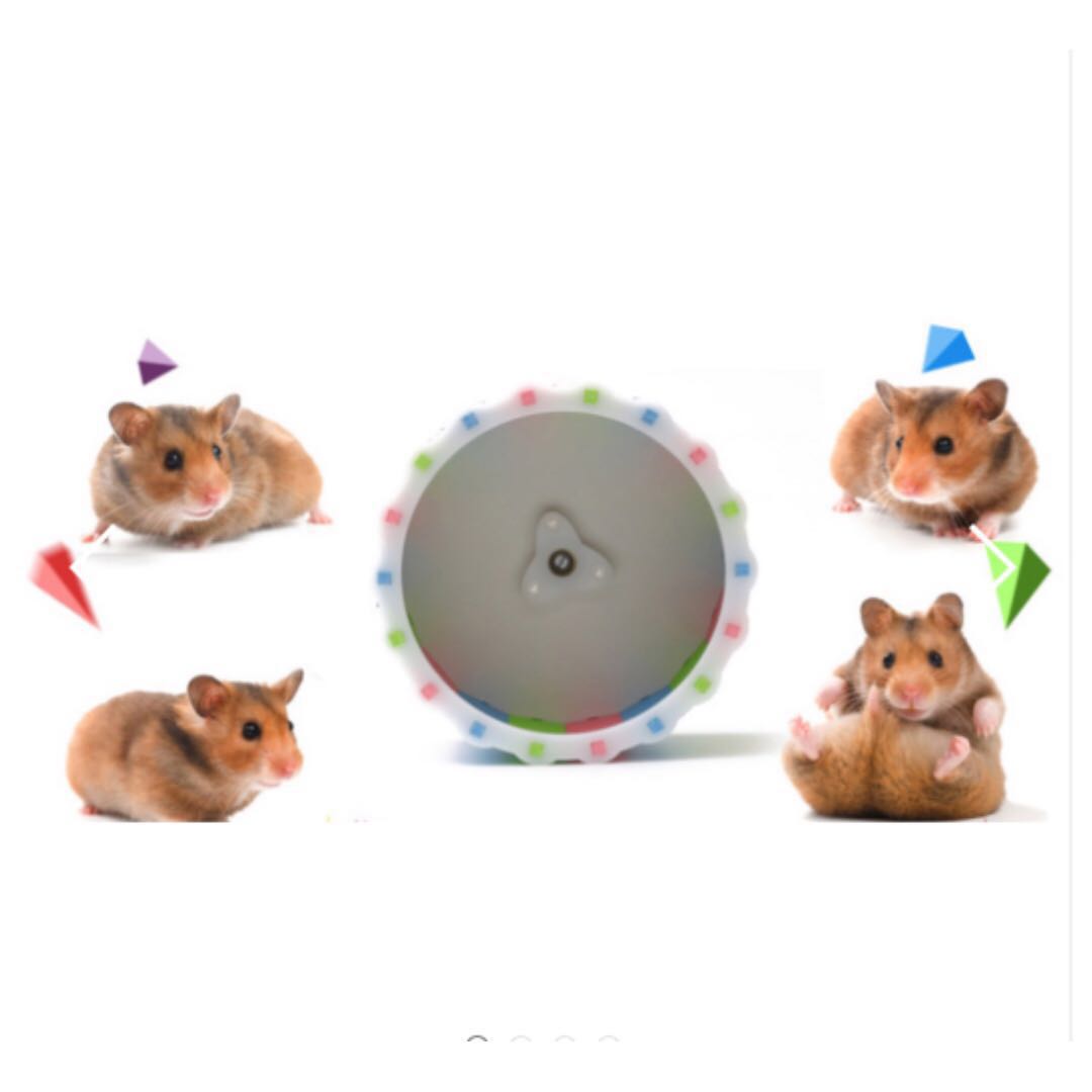 Super Silent Rainbow Running Wheel for Rabbits/Hamsters/ChinChillas ...