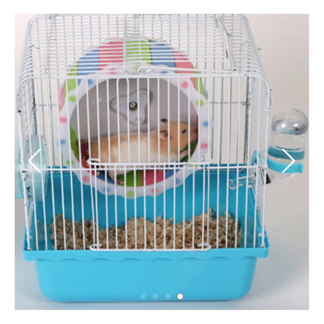 Super Silent Rainbow Running Wheel for Rabbits/Hamsters/ChinChillas ...