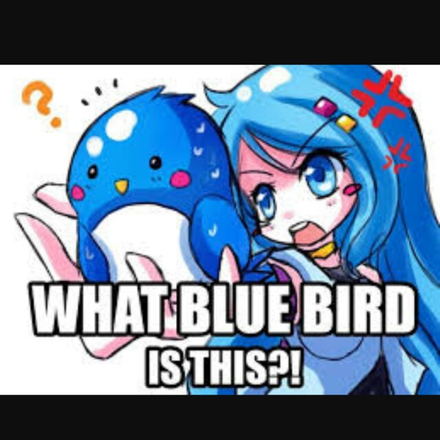 Daiyaku Lanjiao (blue bird), Hobbies & Toys, Toys & Games on Carousell