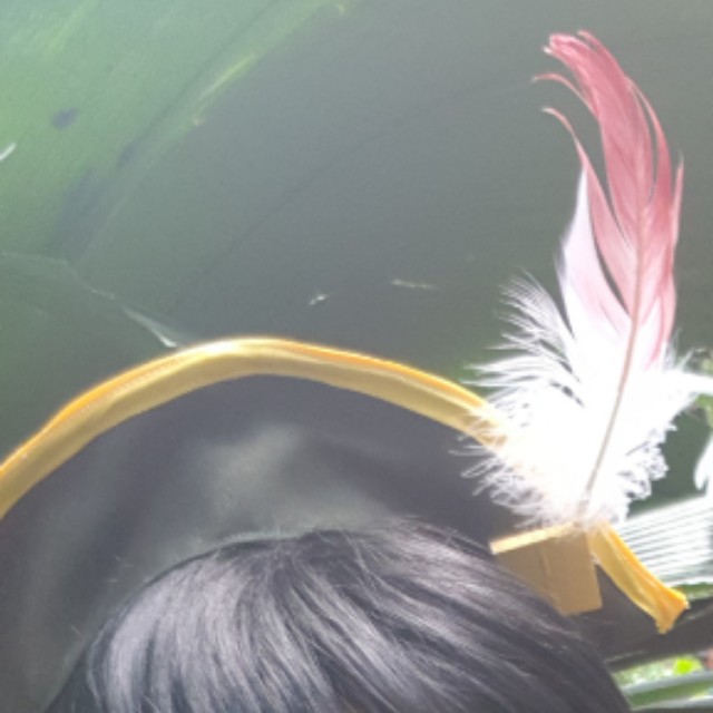 Guildmarm Monster Hunter Cosplay MH4 MH4U, Hobbies & Toys, Memorabilia ...