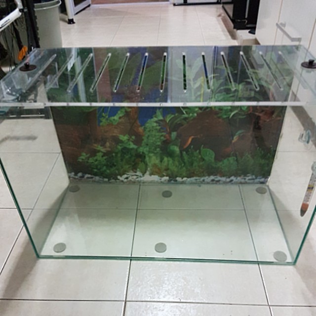 2ft x 1ft Glass Fish Tank Aquarium / Terrarium, Pet Supplies, Homes ...