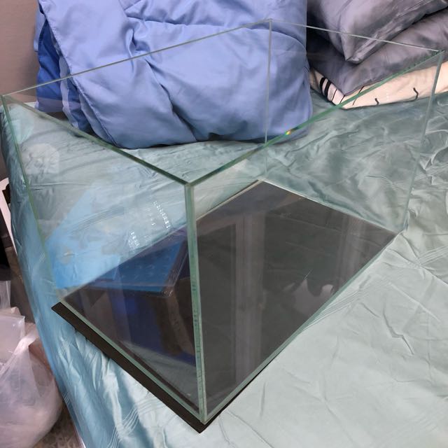 Crystal tank 40x25x25, Pet Supplies, Homes & Other Pet Accessories on ...