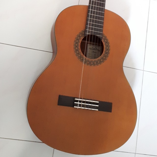 Walden N-570 Classical Guitar & Walden Casing, Hobbies & Toys, Music ...