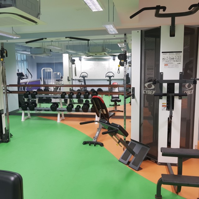cybex multi gym, Sports Equipment, Exercise & Fitness, Toning ...