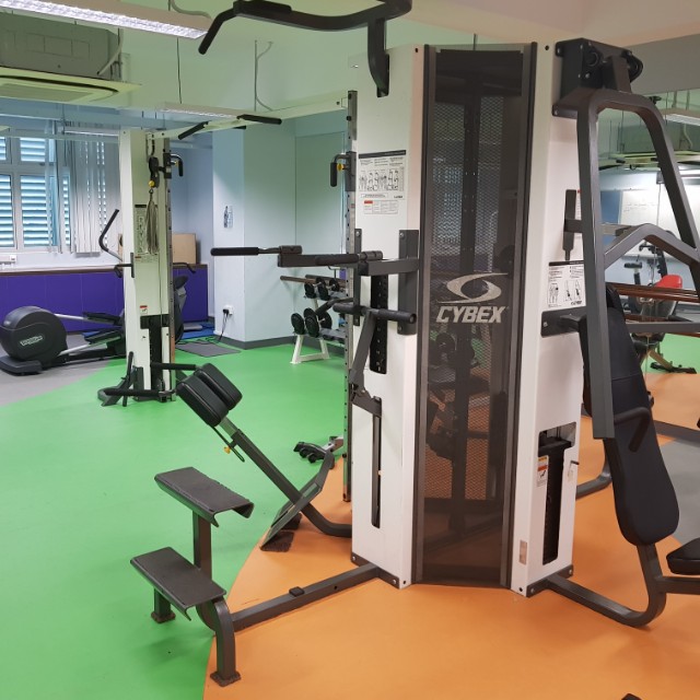cybex multi gym, Sports Equipment, Exercise & Fitness, Toning ...