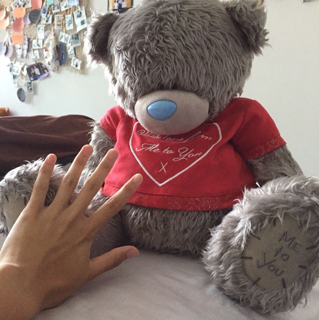 Large and Medium Metoyou bears, Hobbies & Toys, Toys & Games on Carousell