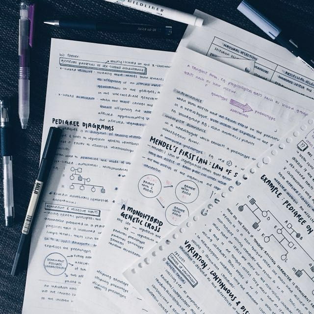 [photocopied] sec 4 handwritten notes, Hobbies & Toys, Books ...