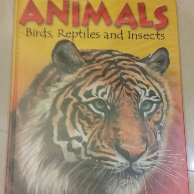 Giant Book of Animals, Reptiles & Insects., Hobbies & Toys, Books ...