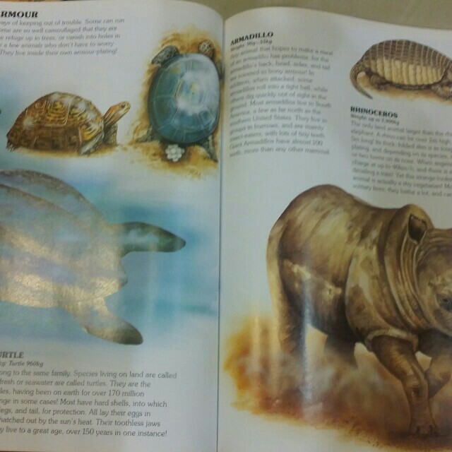 Giant Book of Animals, Reptiles & Insects., Hobbies & Toys, Books ...