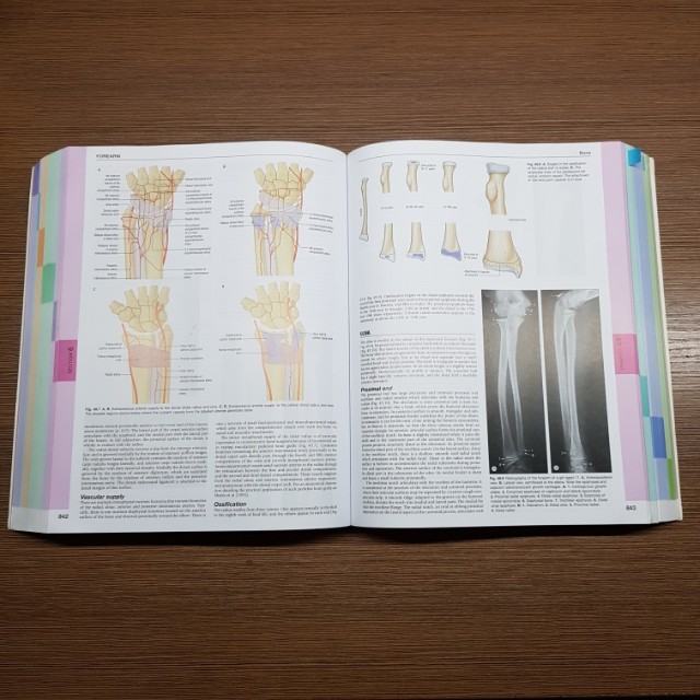 Gray's Anatomy: The Anatomical Basis of Clinical Practice 40th Edition ...