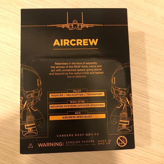 RSAF Air Force Aircrew Figurine, Toys & Games, Bricks & Figurines on ...