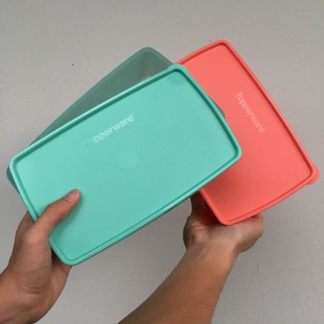 Signature Fridge Set (Tupperware), TV & Home Appliances, Kitchen ...