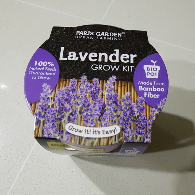 Paris Garden Urban Farming Lavender Grow Kit, Furniture & Home Living ...