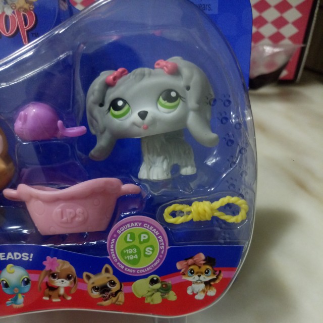 LPS Maltese and bon bon cat, Bulletin Board, Looking For on Carousell