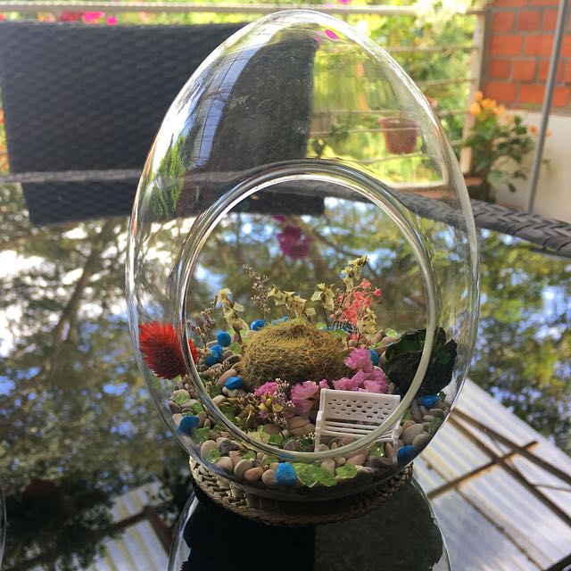 Terrarium Art Design, Hobbies & Toys, Stationery & Craft, Art & Prints ...