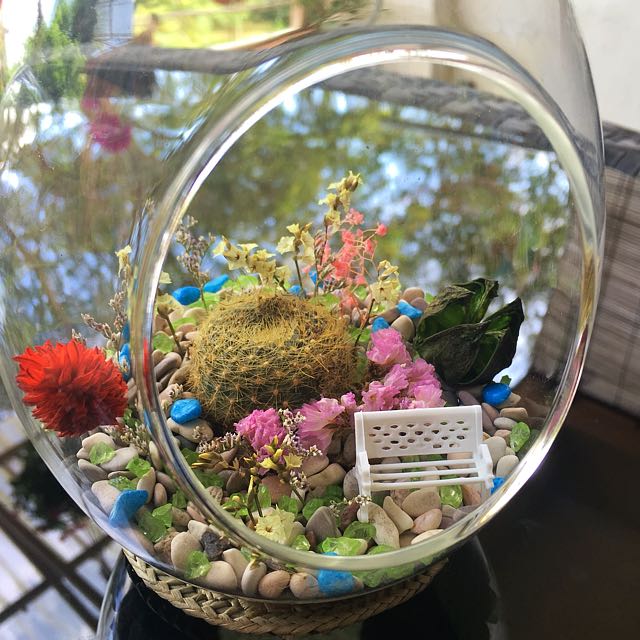 Terrarium Art Design, Hobbies & Toys, Stationery & Craft, Art & Prints ...