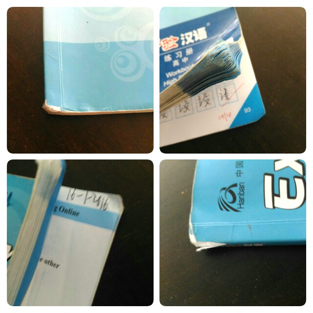 Experiencing Chinese 2A HANBAN- Workbook-High School, Hobbies & Toys ...