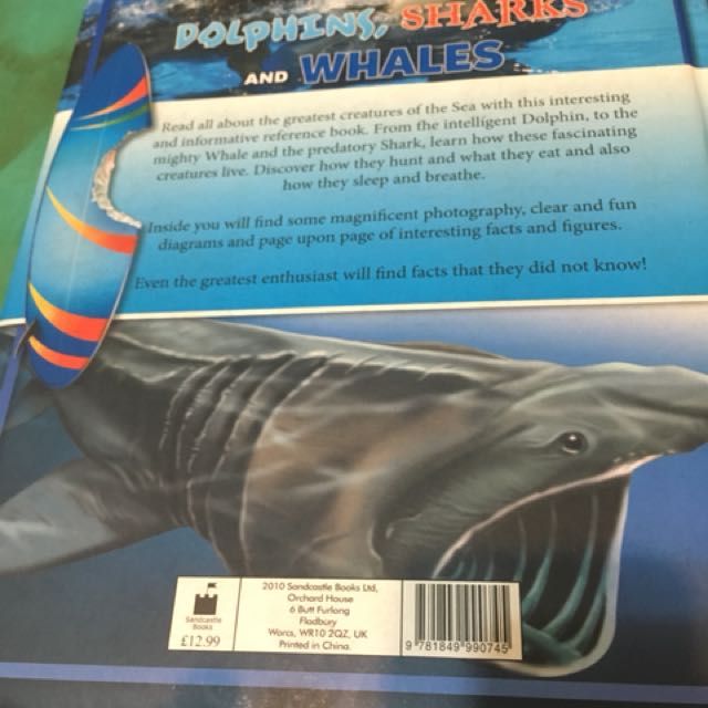 Dolphins,sharks and whales, Hobbies & Toys, Books & Magazines, Children ...