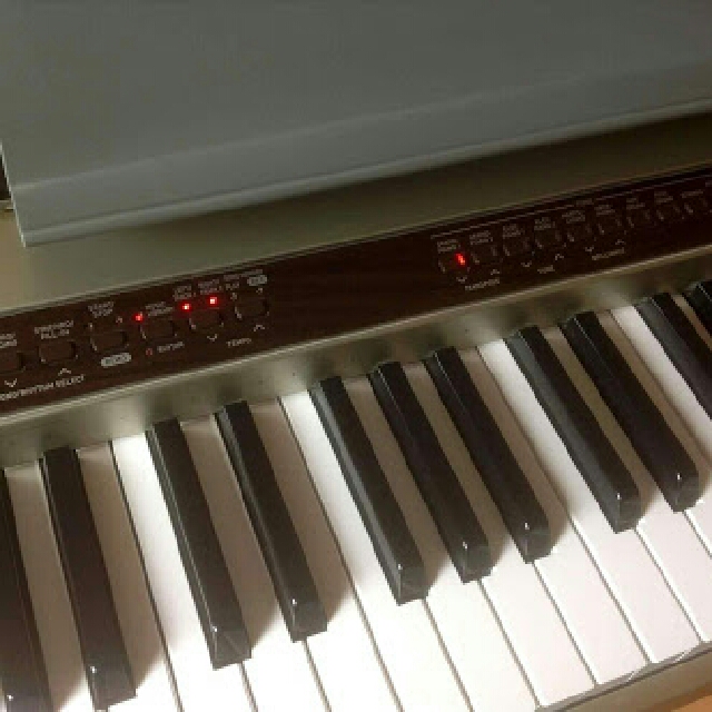 Casio Privia PX-730 Dogital Piano, Hobbies & Toys, Music & Media ...