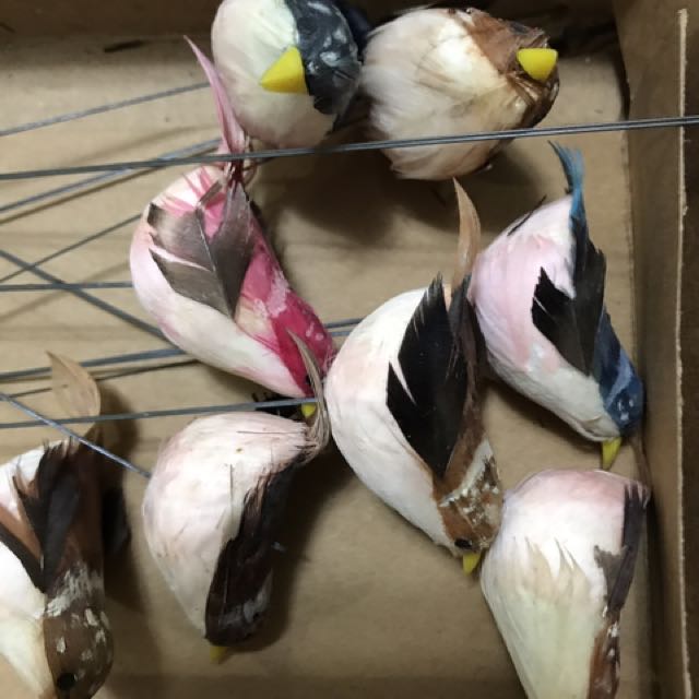 Decorative insects, Hobbies & Toys, Stationery & Craft, Occasions ...