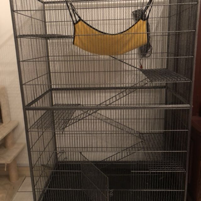 Pet cage , Pet Supplies, Homes & Other Pet Accessories on Carousell