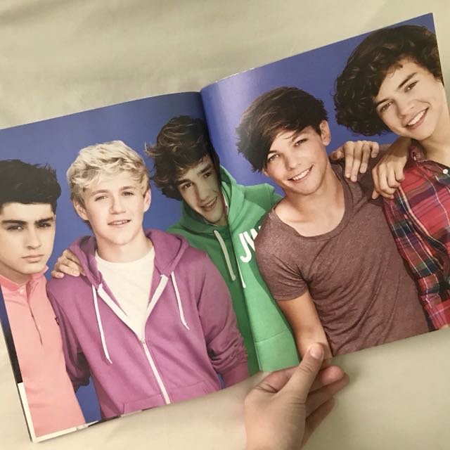 100% Official One Direction / 1D Behind the Scenes Book, Hobbies & Toys ...
