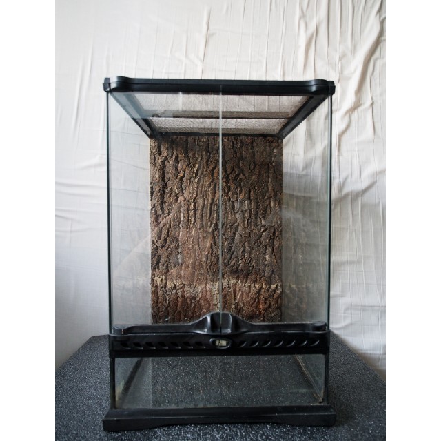 Exo terra mini tall terrarium tank, Pet Supplies, Homes & Other Pet ...