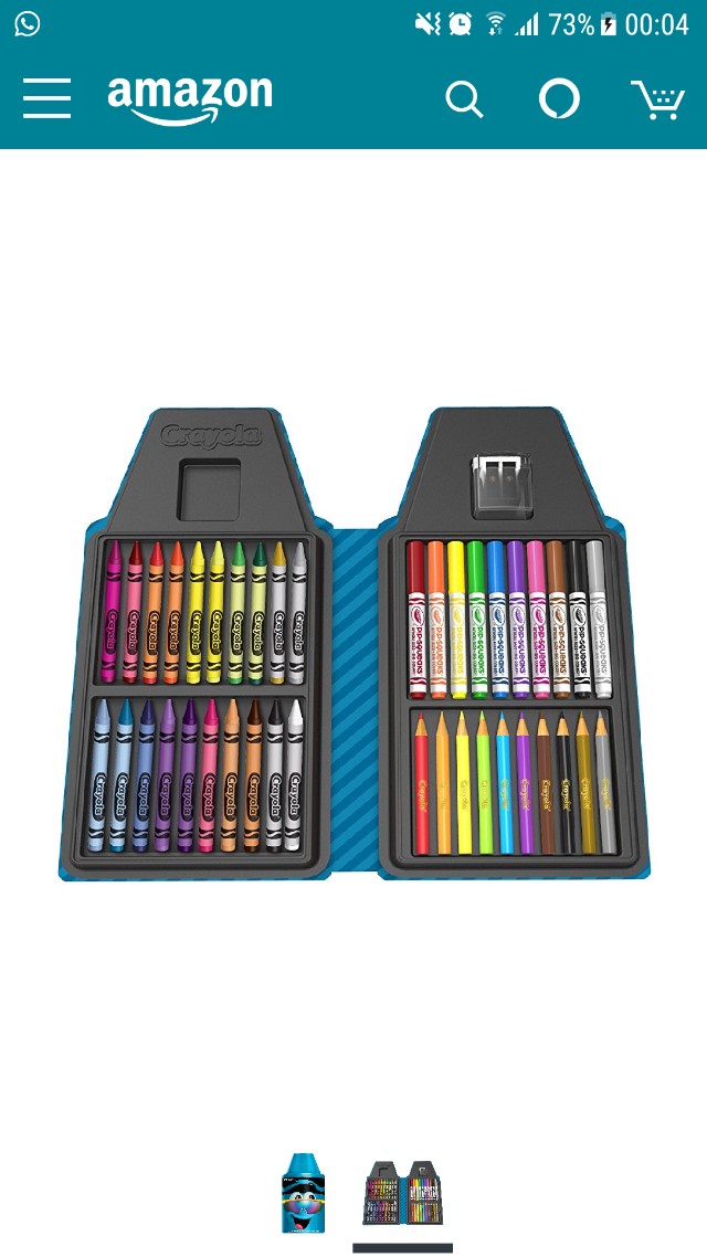 Crayola Tip Tool Kit (Turquoise) Character Case, Hobbies & Toys ...