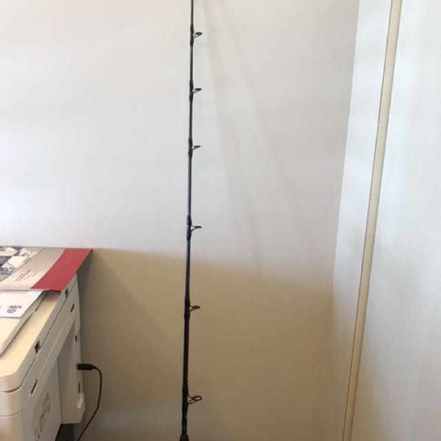 Daiwa Saltiga LD40 2speed and Saltiga rod for sale, Everything Else on ...