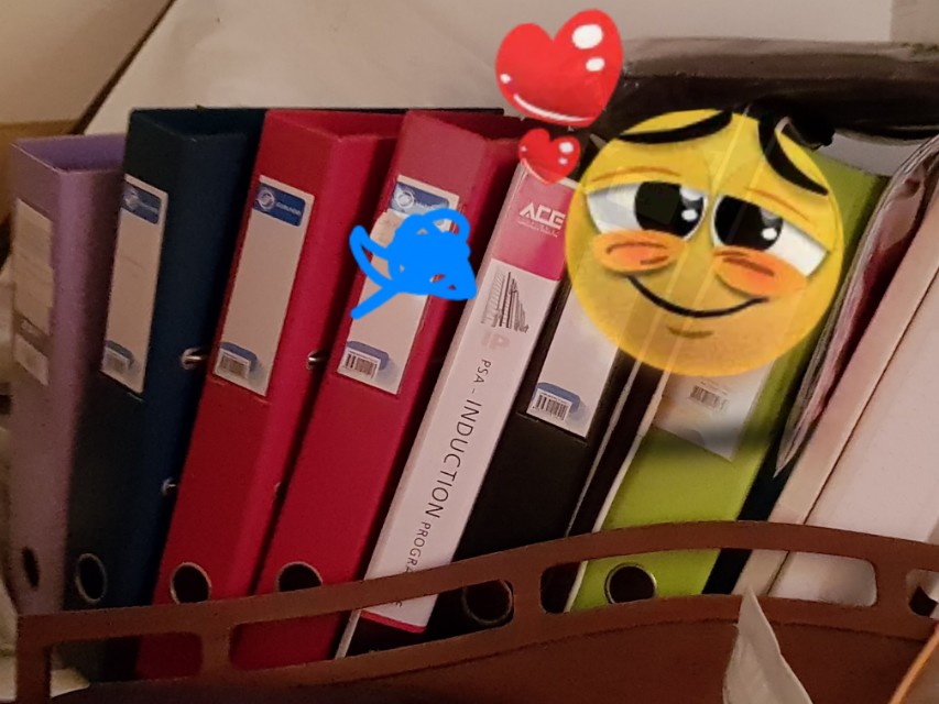 Files, Hobbies & Toys, Stationery & Craft, Stationery & School Supplies ...