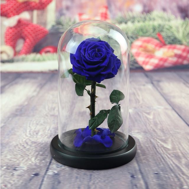 Photos Of Blue Colour Flowers | Best Flower Site