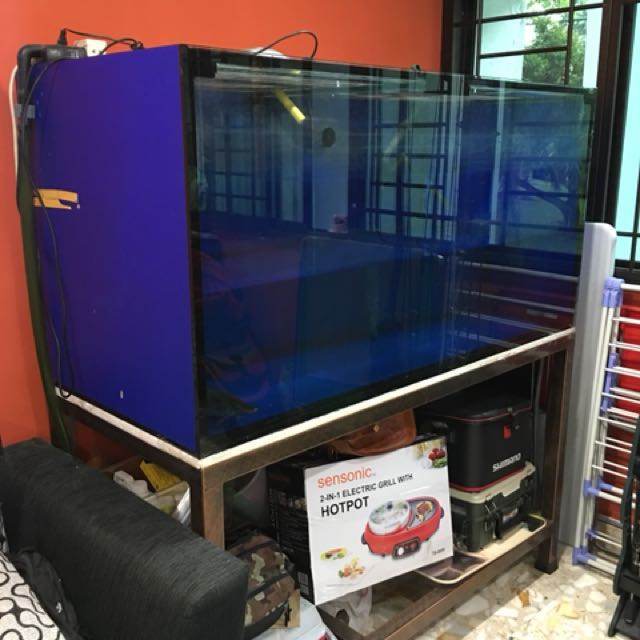 5ft x 2.5ft x 2.75ft Fish Tank, Pet Supplies, Homes & Other Pet ...